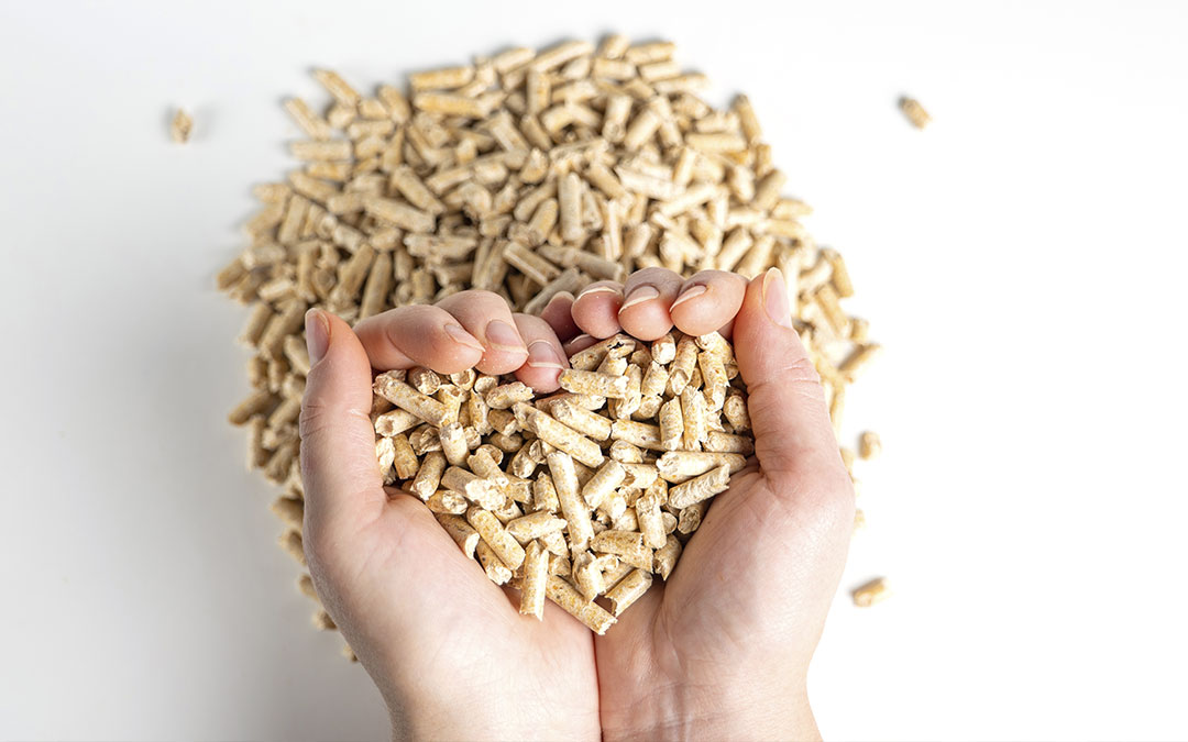 Biomass: questions and answers - Good New Energy